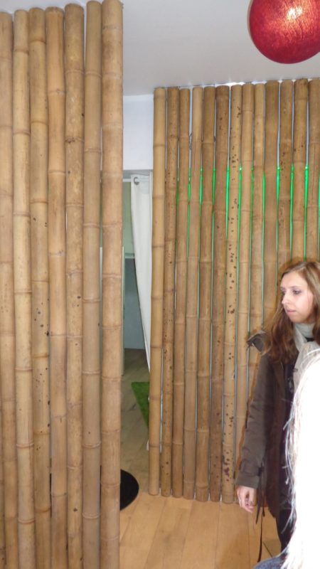 Bamboo partitioning: design separation for your interior