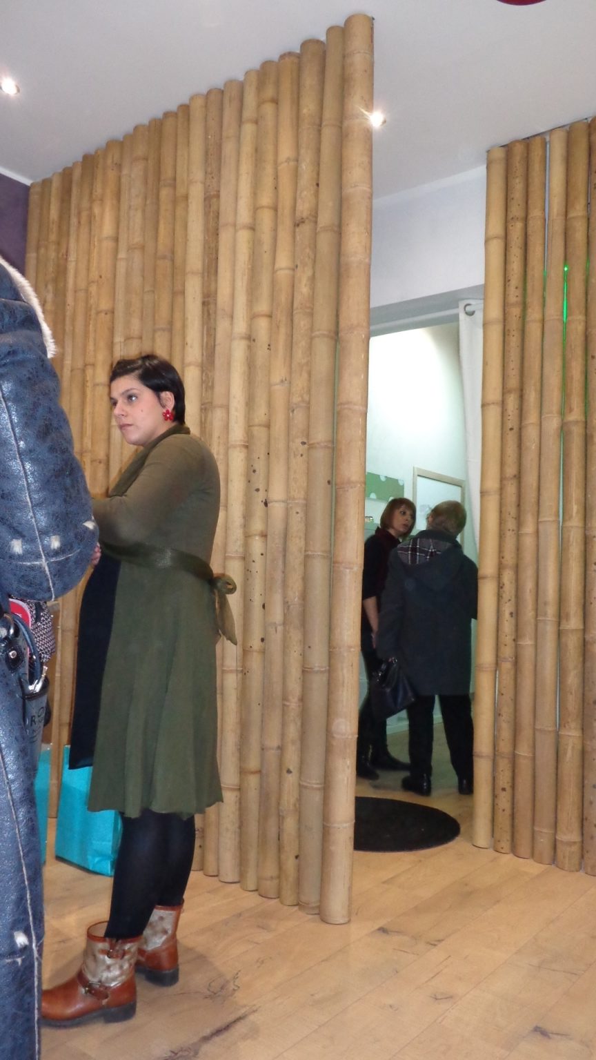 Bamboo partitioning: design separation for your interior
